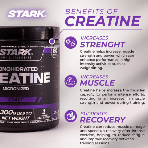 CREATINE STARK PLATINUM MONOHIDRATED PURE – Stark Supplements
